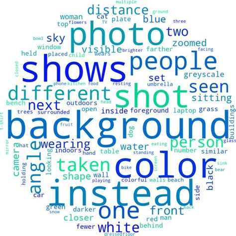 Vocabulary Of The Most Frequent Words In The Relative Captions Scaled