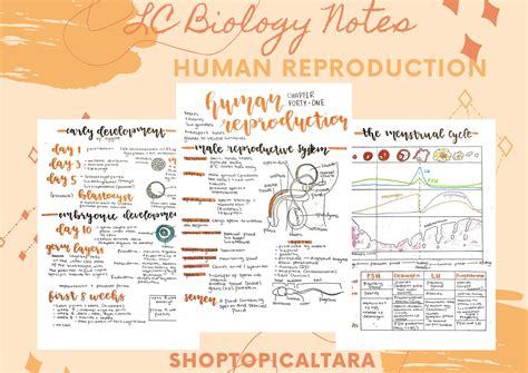 Leaving Cert Biology Notes Human Reproduction Etsy Ireland