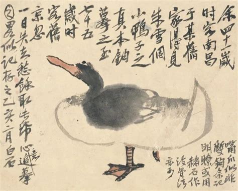 文化随行 齐白石 于非闇 王雪涛花鸟画高清大赏