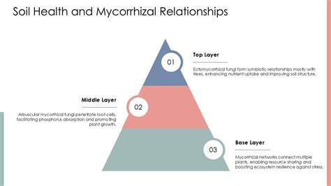 Types Of Mycorrhizal Fungi Ppt Designs Acp Ppt Slide
