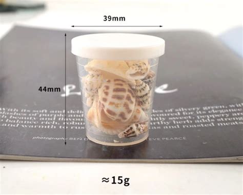 Conch Shells Resin Art Nz