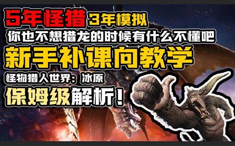 【怪物猎人世界：冰原】新手开荒补课向教学（2022年最新版）【战前准备篇】 哔哩哔哩