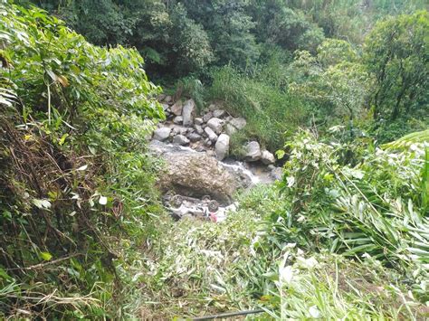 Carro Cayó A Un Abismo Dejando Dos Personas Muertas En Antioquia Rcn