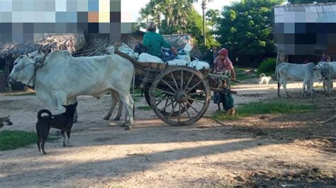 နေ့စဉ်တိုက်ရိုက်ထုတ်လွှင့်ချက် ၂ဝ၂၃ အောက်တိုဘာ ၉ ရက် မနက်ပိုင်း Youtube