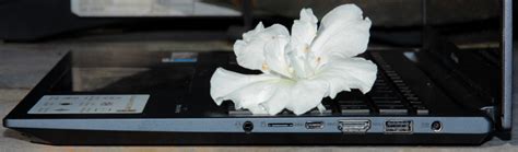 Asus Vivobook Pro OLED Review High Performance Laptops