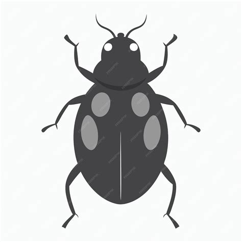 Vector Ash Grey Lady Beetle Vector Art Walking View Premium Ai