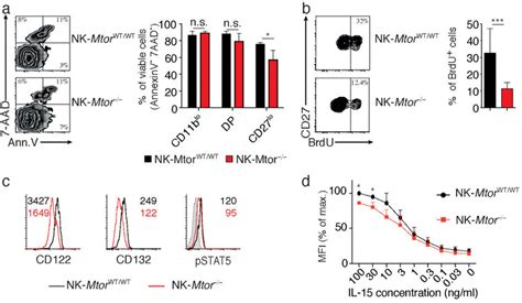 Mtor Is Necessary For Nk Cell Optimal Fitness Proliferation In The Bm