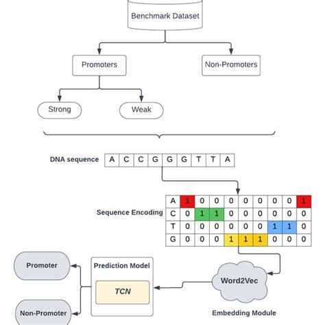 Illustration Of The Proposed Model Architecture Download Scientific Diagram