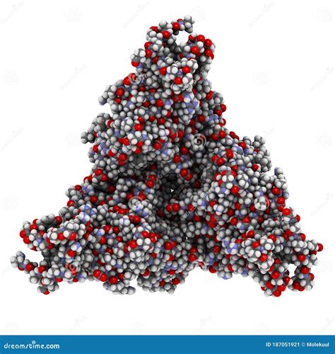 Ebola Virus Glycoprotein Gp Molecular Structure Occurs As Spikes On Ebola Virus Surface