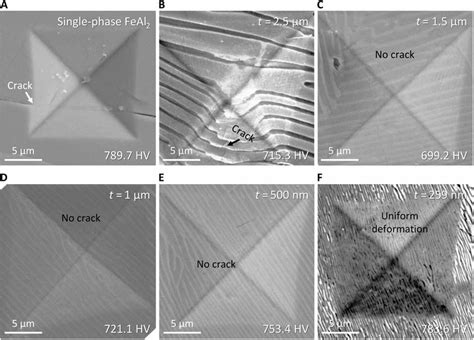 comparison of indentations a typical sem micrographs of the