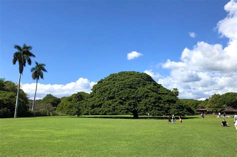 9 Most Instagrammable Places In Honolulu Photos Of Honolulu You Can