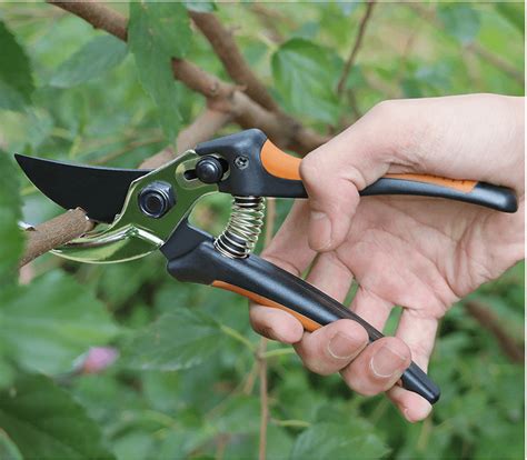 Garden Pruning Scissors Fruit Tree Pruning Shears Obstbäume