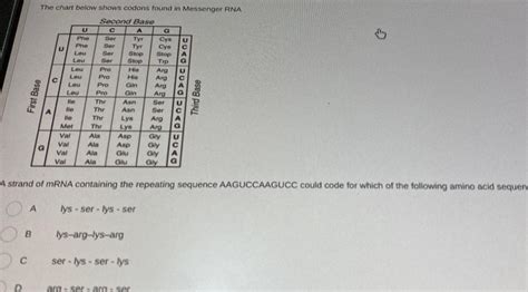 [answered] B C The Chart Below Shows Codons Found In Messenger Rna Kunduz