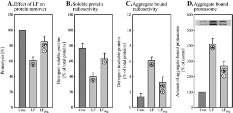 Effects Of Artificial Lipofuscin On Proteolysis And Protein