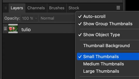 Font Ui Scaling Issue In The Layers Panel V Bugs Found On Macos