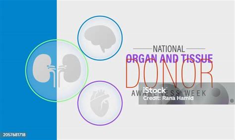 매년 4월 21일부터 27일까지 관찰되는 전국 장기 및 조직 기증자 인식 주간 벡터 배너 전단지 포스터 및 소셜 미디어 템플릿 디자인 개념에 대한 스톡 벡터 아트 및 기타