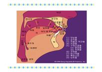 국어학개론 음운론 음운단위 변이음 음운체계 분절음 음절 초분절음 변별자