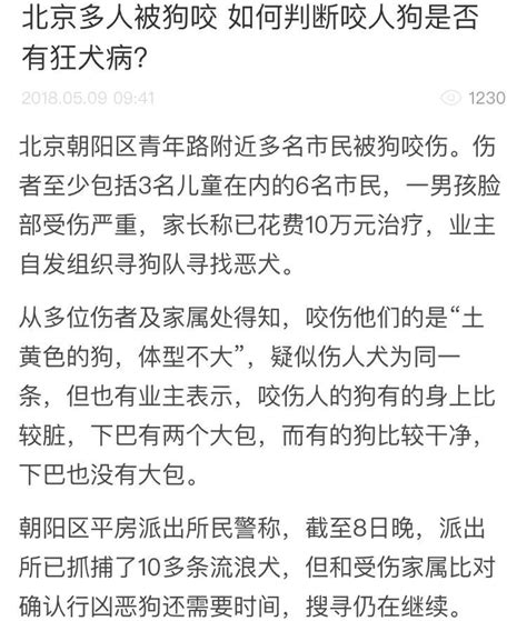 “最严”养狗令：狗可以不懂事 但人必须明事理杭州