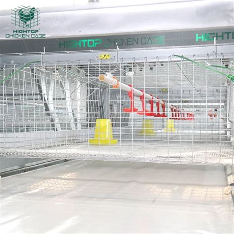 Poultry Farm Automatic 3 Tier H Type Broiler Chicken Cage With