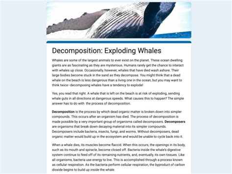 Digital Reading Passage On Decomposition With Comprehension Questions