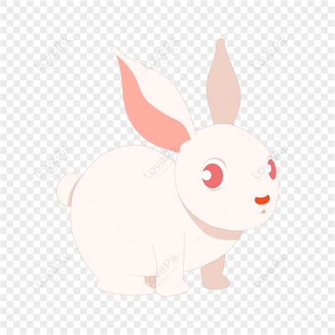 흰 토끼 Png 일러스트 무료 다운로드 Lovepik