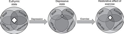 Book Programming Massively Parallel Processors A Hands On Approach