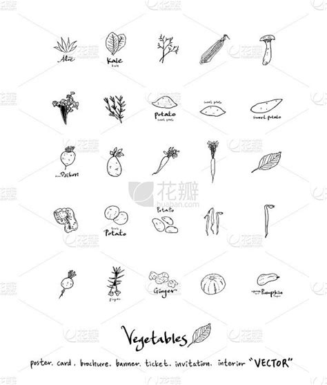 食品菜单插图