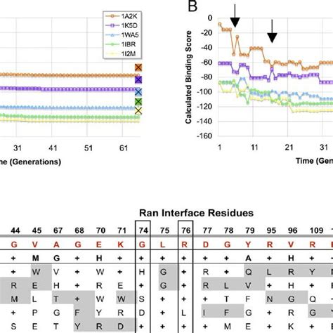 single and multi constraint simulation trajectories and sequences