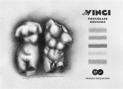 Quintessential Pencil Procreate Brushes Graphicsbunker