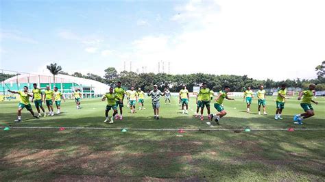Palmeiras Realiza Treino De Fundamentos Na Academia De Futebol