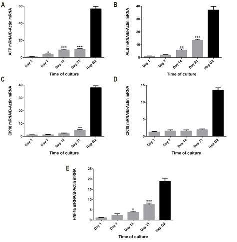 Qrt Pcr Analysis Of Several Hepatocyte Specific Genes Upon The