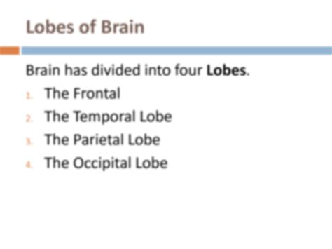 SOLUTION: 7 lobes of brain - Studypool