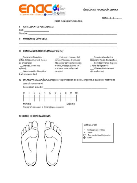 10ficha Clínica Reflexologia Descargar Gratis Pdf Reflexología