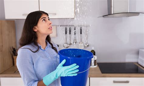 Common House Problems Encountered By House Moms