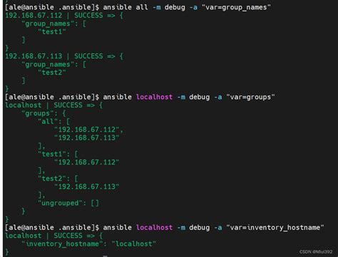 Ansible中的变量及加密ansible Hosts文件加密 Csdn博客