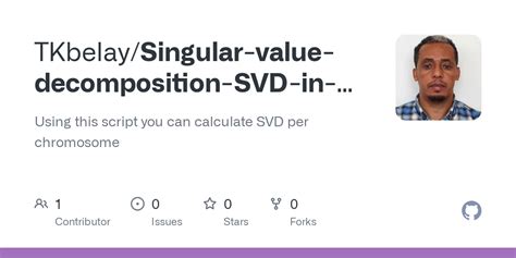 Github Tkbelay Singular Value Decomposition Svd In Julia Using This Script You Can Calculate