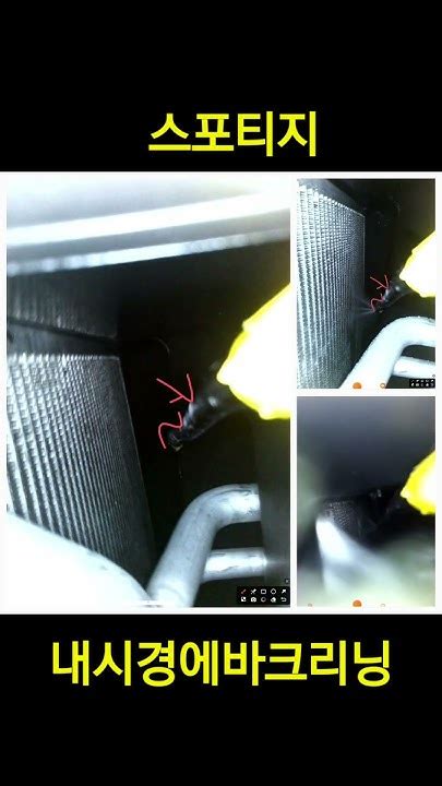 부산스포티지에바크리닝 부산스포티지에어컨냄새 부산스포티지에어컨청소 부산스포티지히터냄새 부산에바크리닝 Youtube