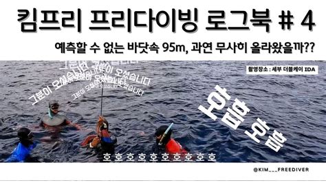 예측할 수 없는 바닷속 프리다이빙 95m 과연 무사히 올라왔을까 킴프리프리다이빙로그북 4 Youtube
