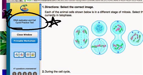 EC Honors Biology Cell Cycle Cell Division DNA Replication Exam Review Sessions