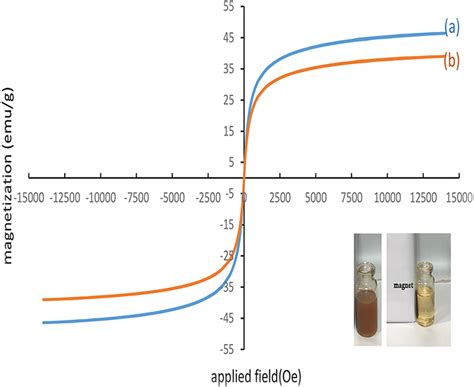 The Magnetization Curves Of Fe3o4 And Hnpspy Nanoparticles At Room