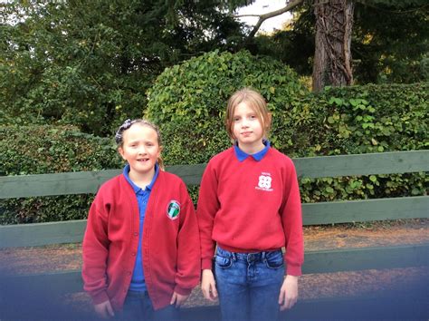 Cyngor Ysgol School Council Ysgol Pontrobert