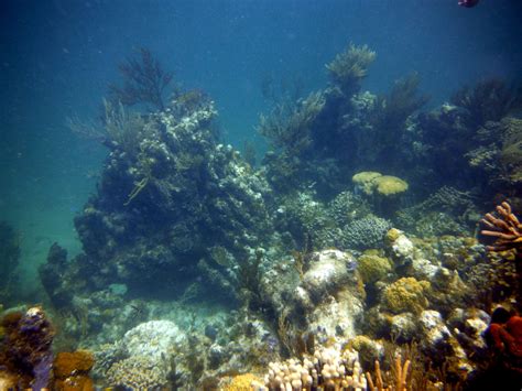 Îles Turquoises Blogue Québécois Traitant