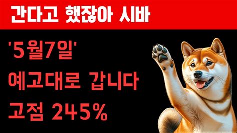 『시바shib』 시바이누 5월 245 날짜까지 나왔네요 간다고 했잖아요~ 시바 시바이누 닥터도지 코인 시바전망 비트코인 호재 도지코인 이스라엘 이란