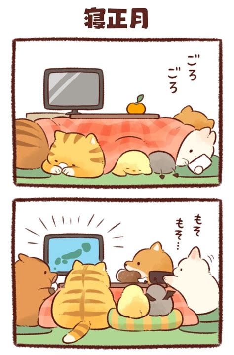 ＜画像7 337＞【癒やし】「こたつの中から出られない…」snsで話題の「ひよこ」、寝正月で“モフモフ化”加速？！ふんどし姿も披露【作者に