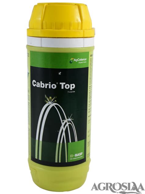 Syngenta Amistar Top Fungicide 100 Ml Azoxystrobin 18 2 Sc