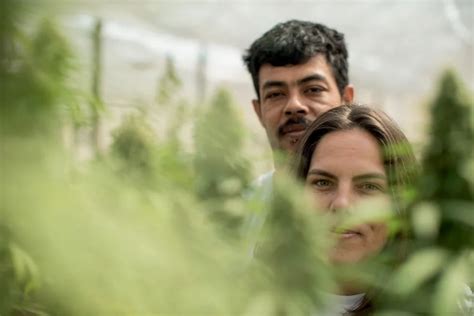Uso Medicinal Da Cannabis Conheça Famílias Que Lutam Para Tratar Os Filhos