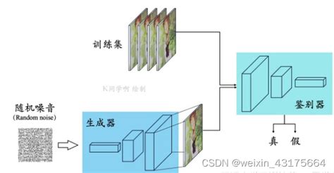 第g1周：生成对抗网络（gan）入门生成式对抗网络判别器的输入 Csdn博客