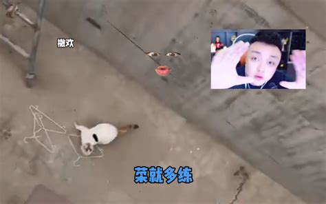 菜就多练 全网搜撒欢 全网搜撒欢 哔哩哔哩视频
