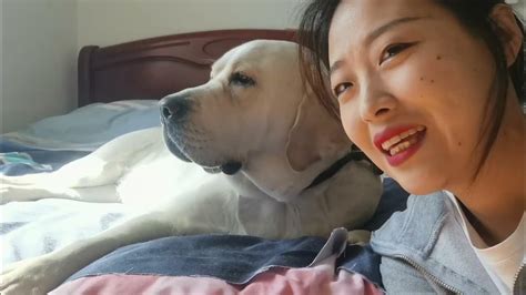狗子没有分离焦虑症😂铲屎官咋有呢😂担心狗子自己在家出事儿😂 Youtube