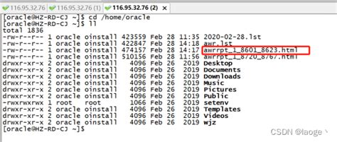 Oracle导出awr报告oracle生成awr报告的命令 Csdn博客
